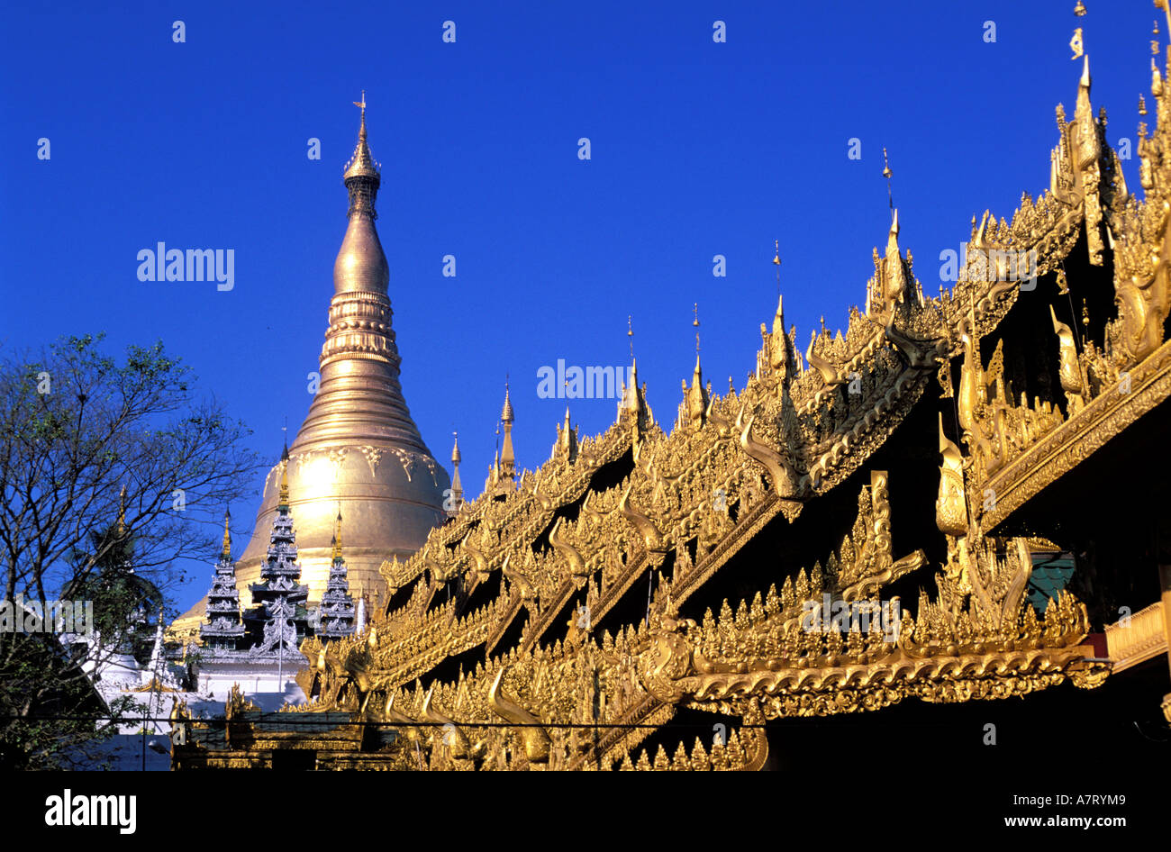 Myanmar (Burma), Yangon Division, Yangon (Rangoon), Shwedagon pagoda ...