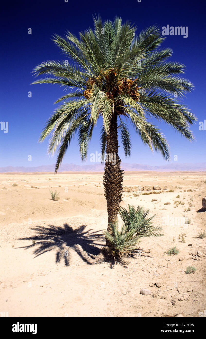 Morocco, Draa Valley Stock Photo - Alamy