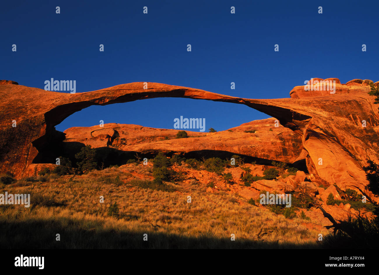 United States, Utah, Arches National Park, Landscape Arch is the ...