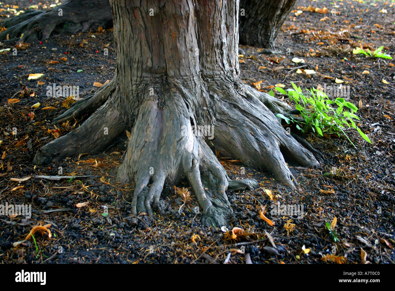 Solid foundation hi-res stock photography and images - Alamy