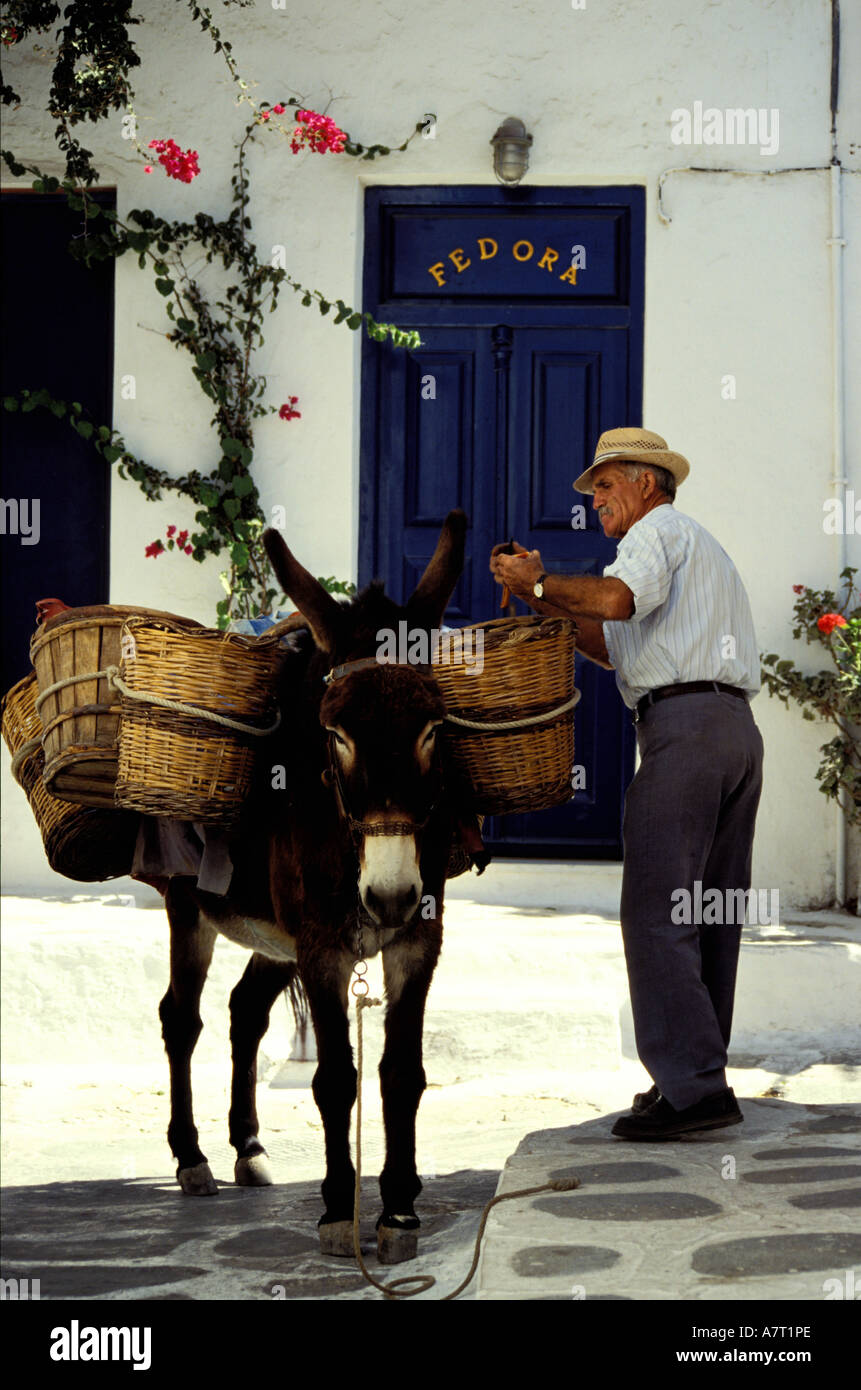 Muleteer hi-res stock photography and images - Alamy
