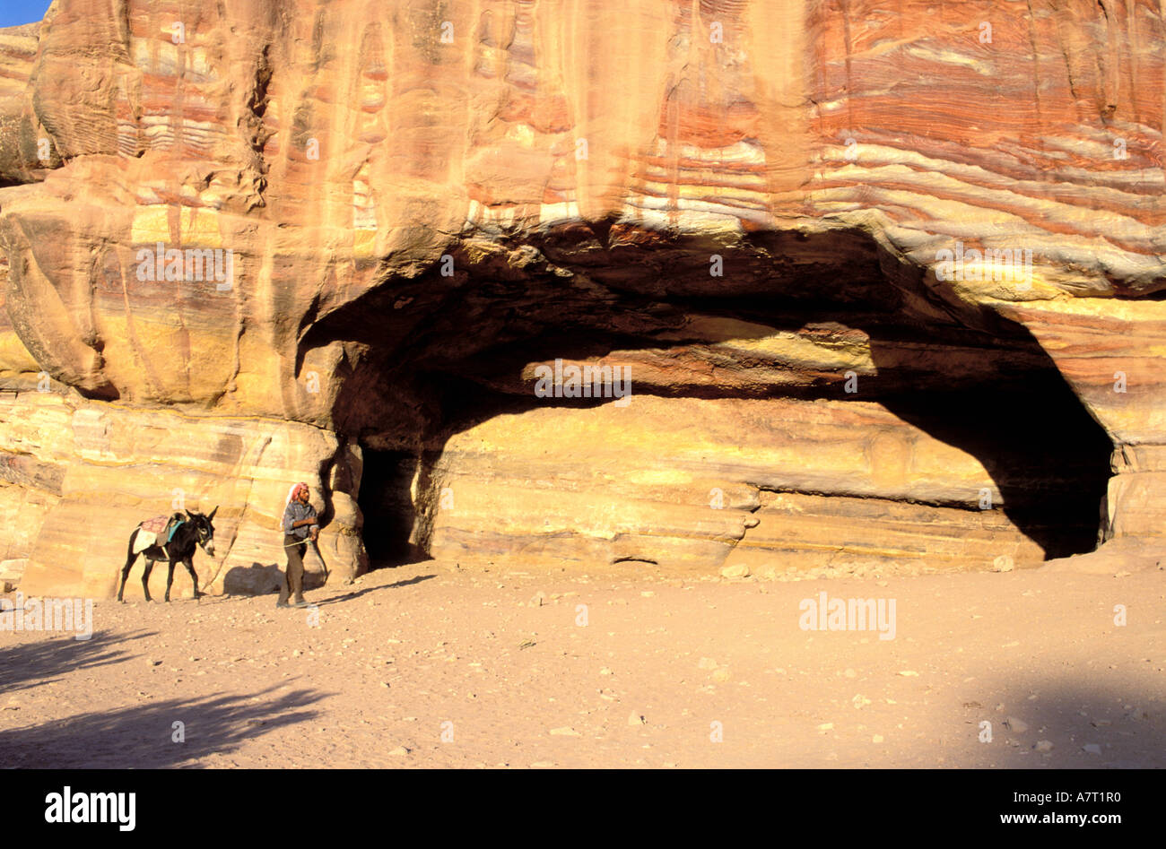 Muleteer hi-res stock photography and images - Alamy