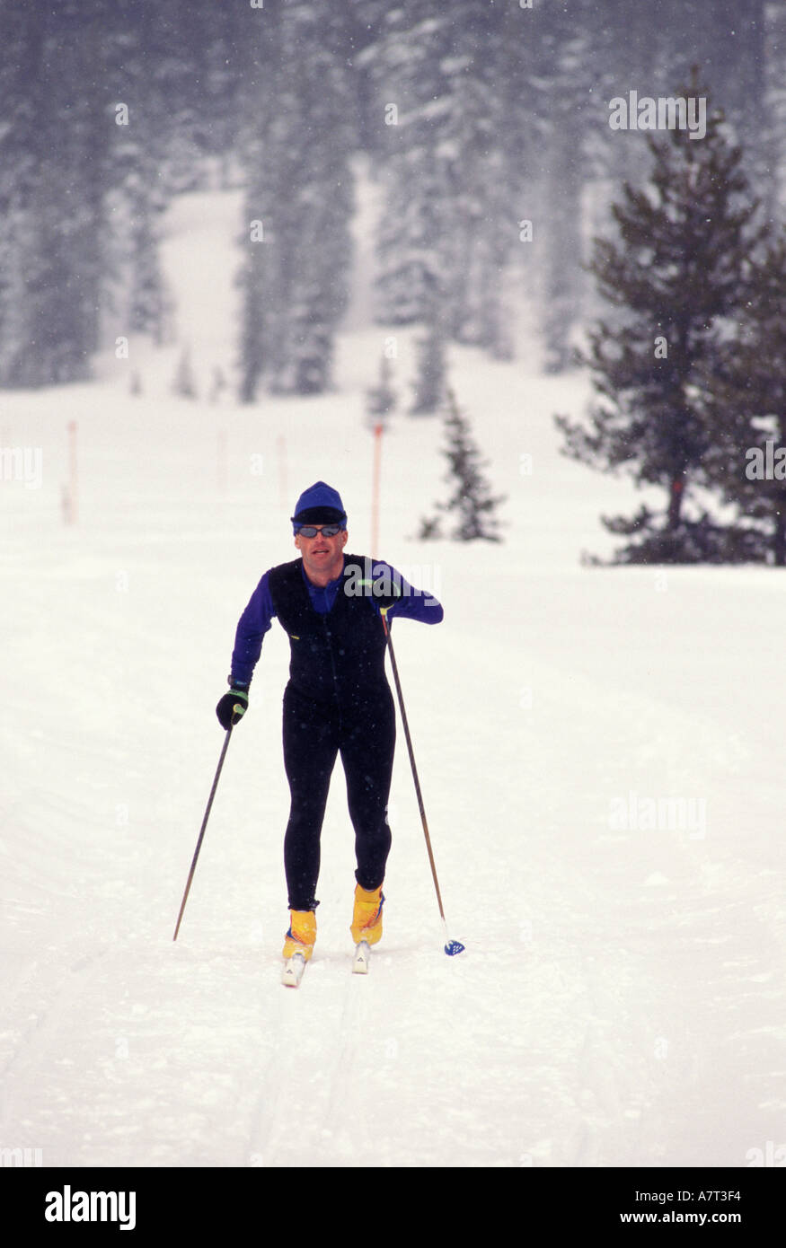 Cross country skiing in nature hi-res stock photography and images - Alamy