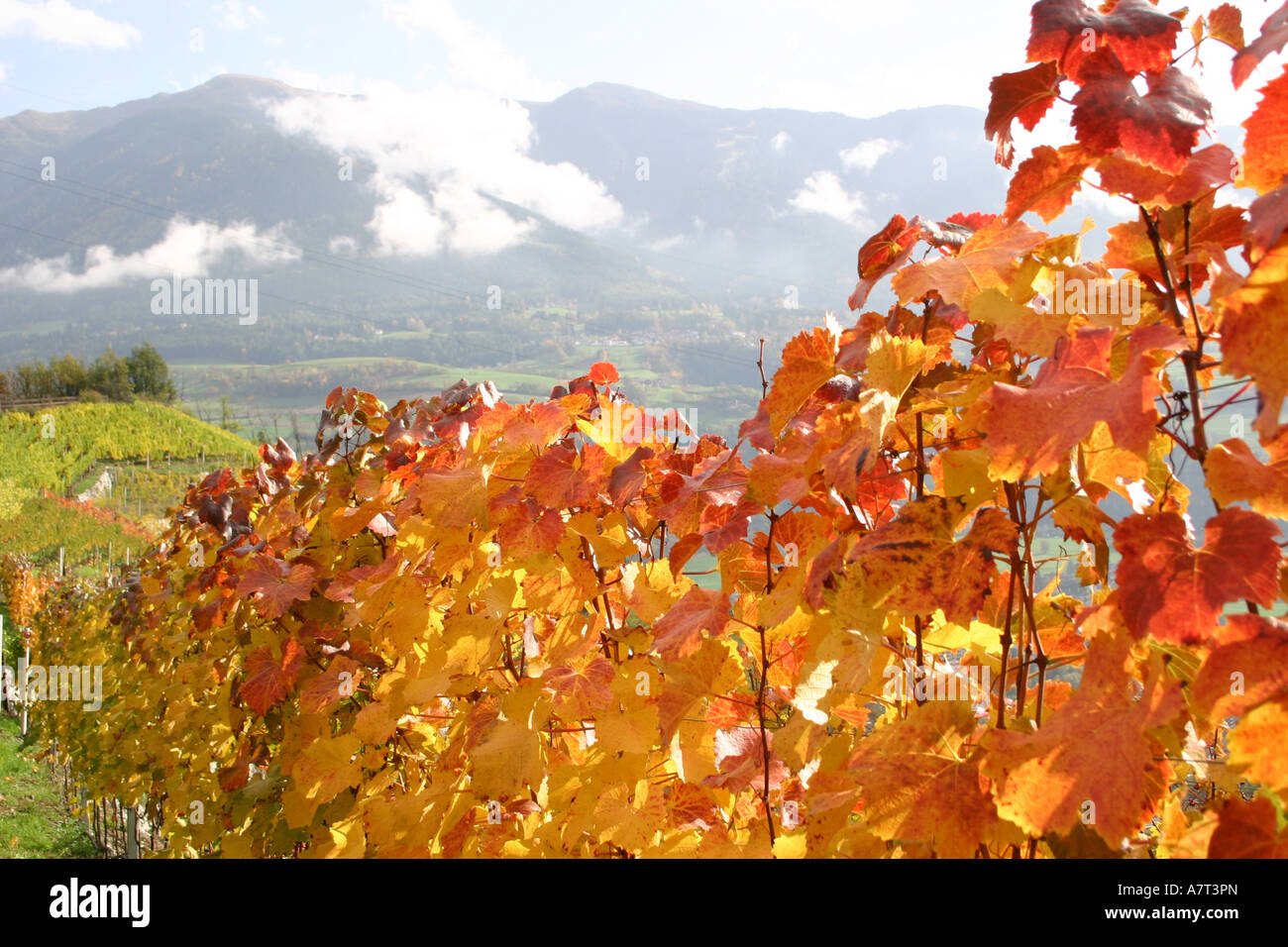 Plano de subdivisión hi-res stock photography and images - Alamy