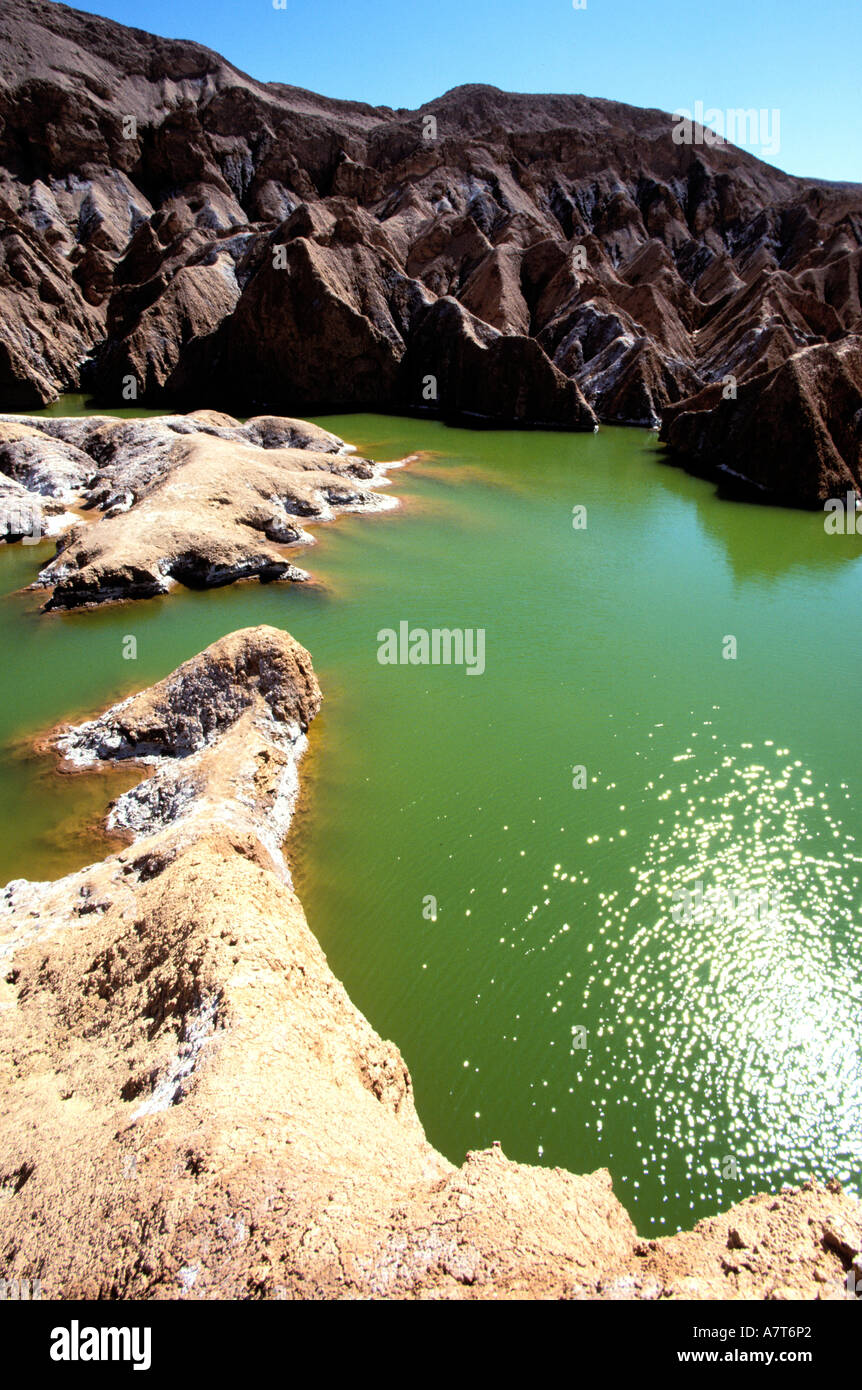 Chile, Atacama desert, lagoon in the Salt Cordillera (surroundings of ...
