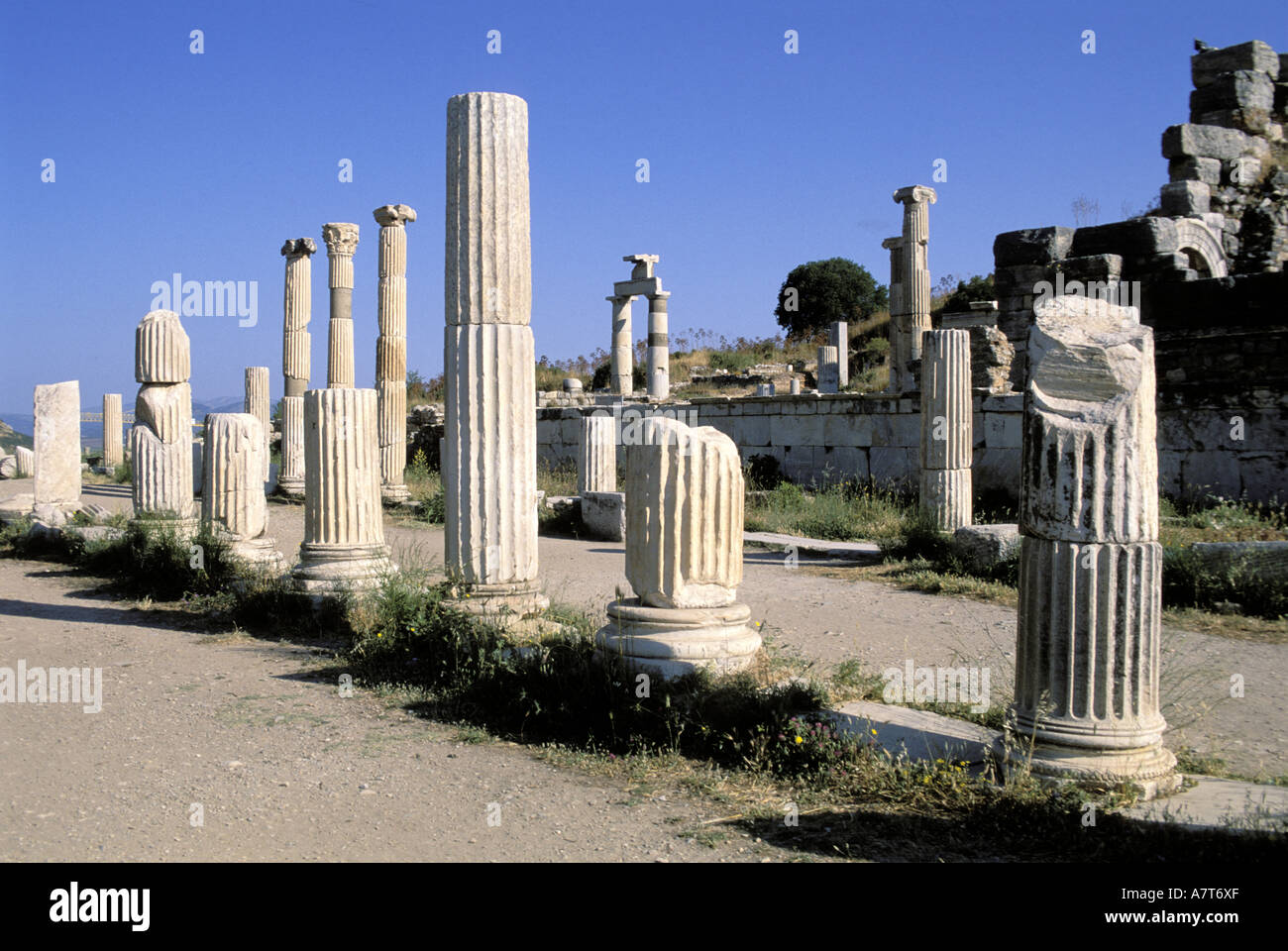Turkey, the antique city of Ephesus on the Aegean sea coast, pillars ...