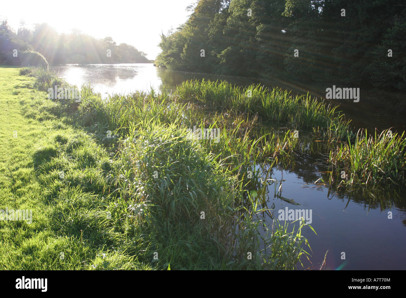 River flowing through landscape, County Mayo, Ireland Stock Photo - Alamy