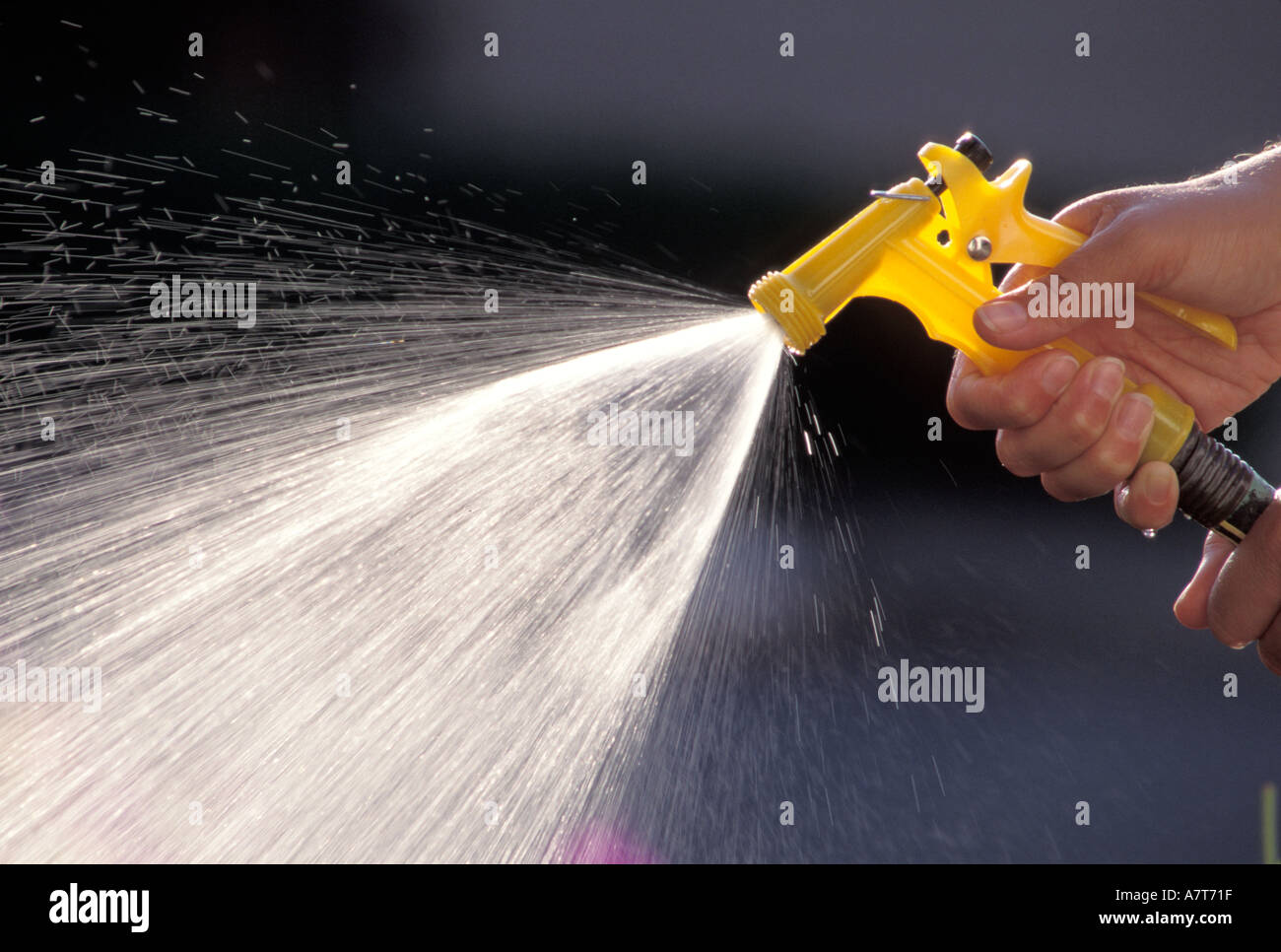 Spraying garden hose hi-res stock photography and images - Alamy