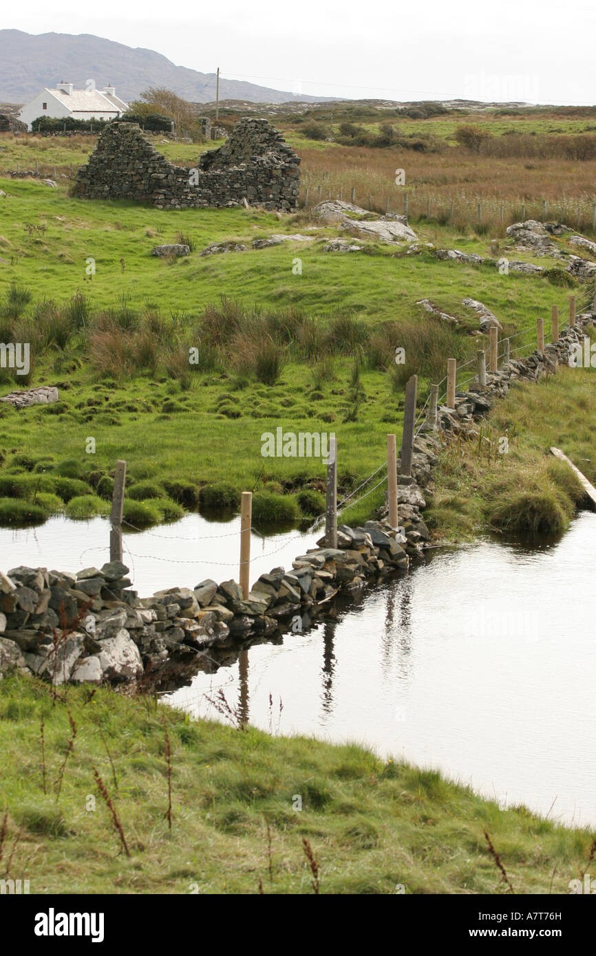 Stone fence on stream and rural landscape, Connemara, Republic of ...