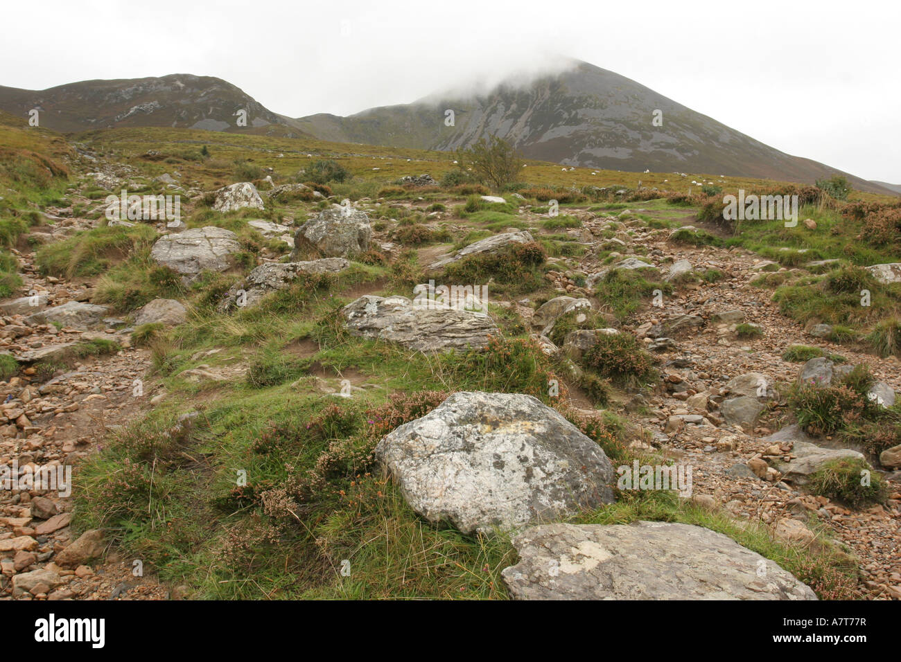 Body mass graph hi-res stock photography and images - Alamy