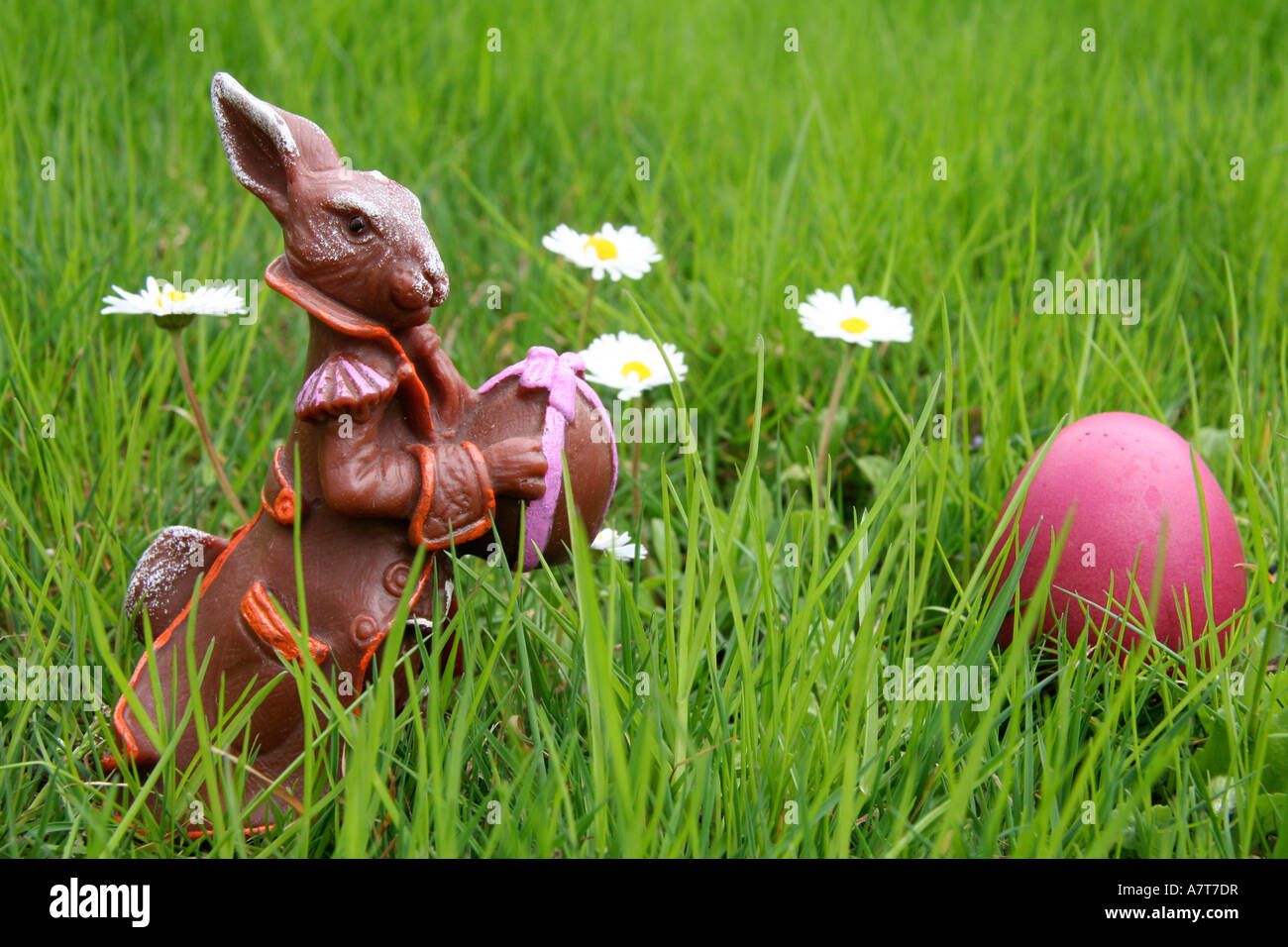 Egg profile hi-res stock photography and images - Alamy