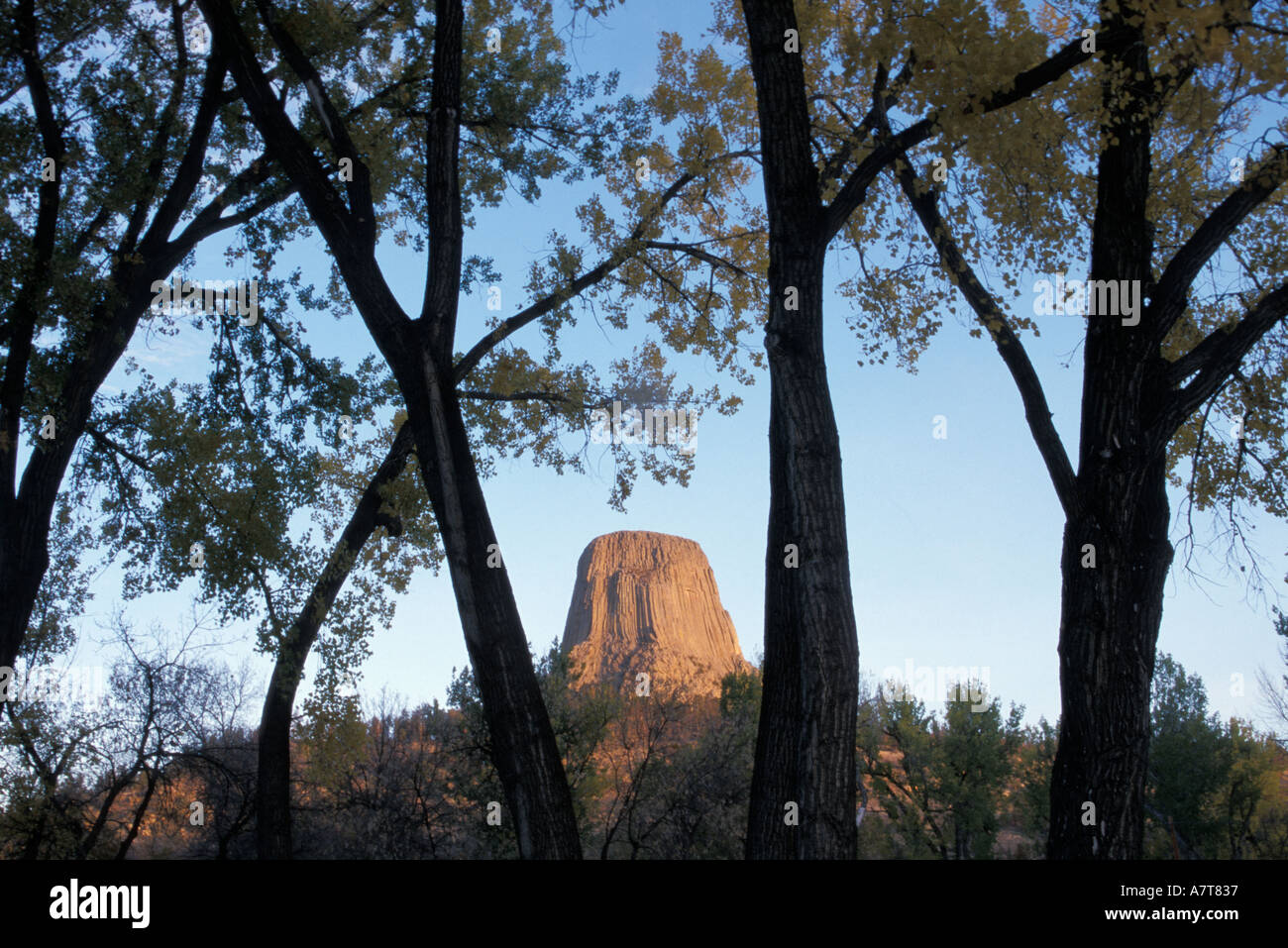 Devils Tower National Monument Stock Photo - Alamy