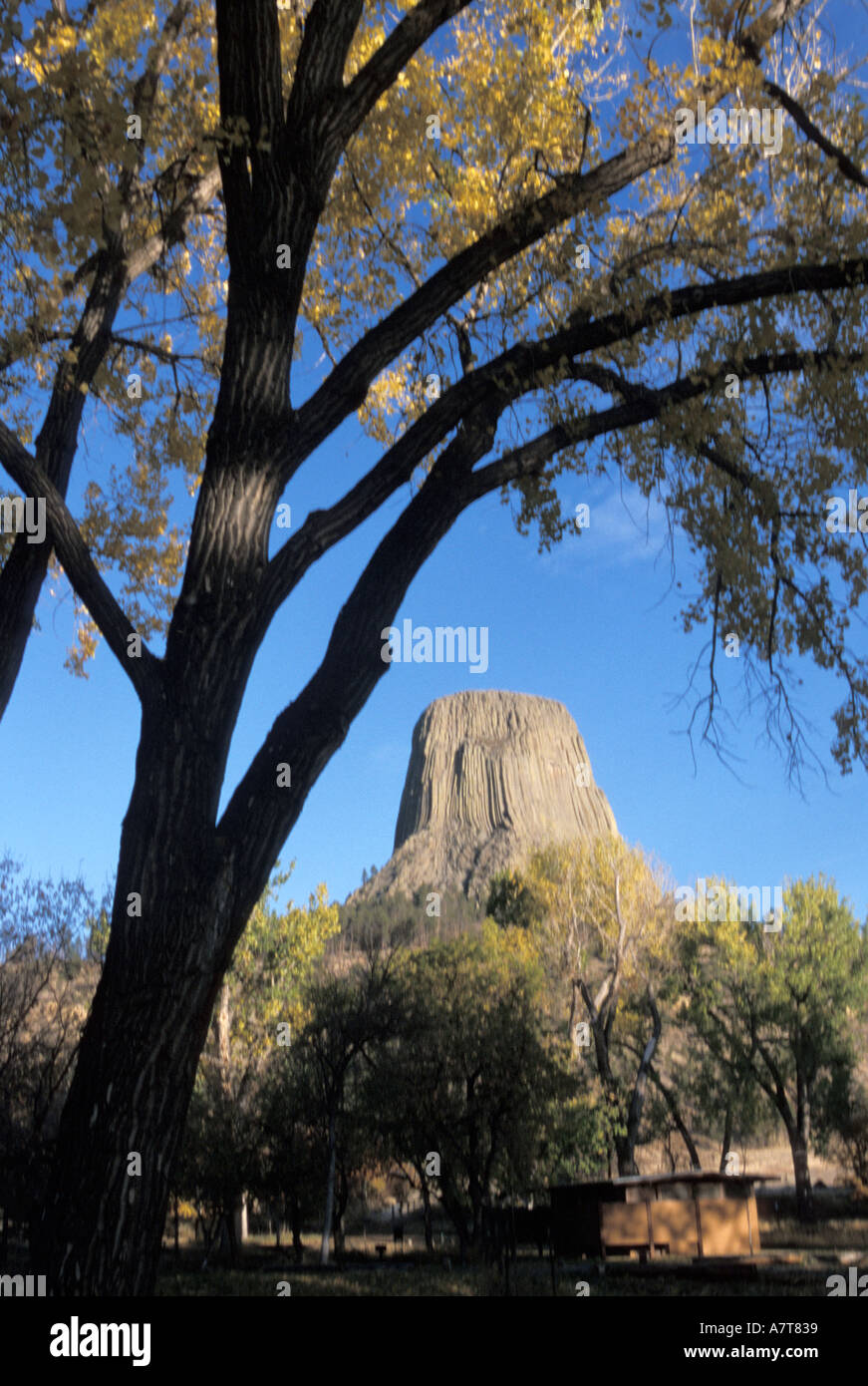 Devils Tower National Monument Stock Photo - Alamy