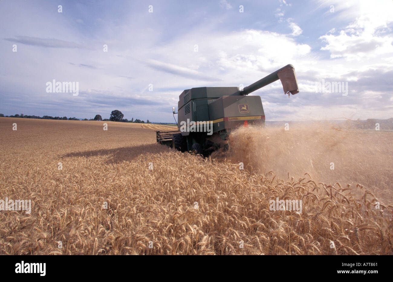 Machine Harvesting Wheat Stock Photo - Alamy