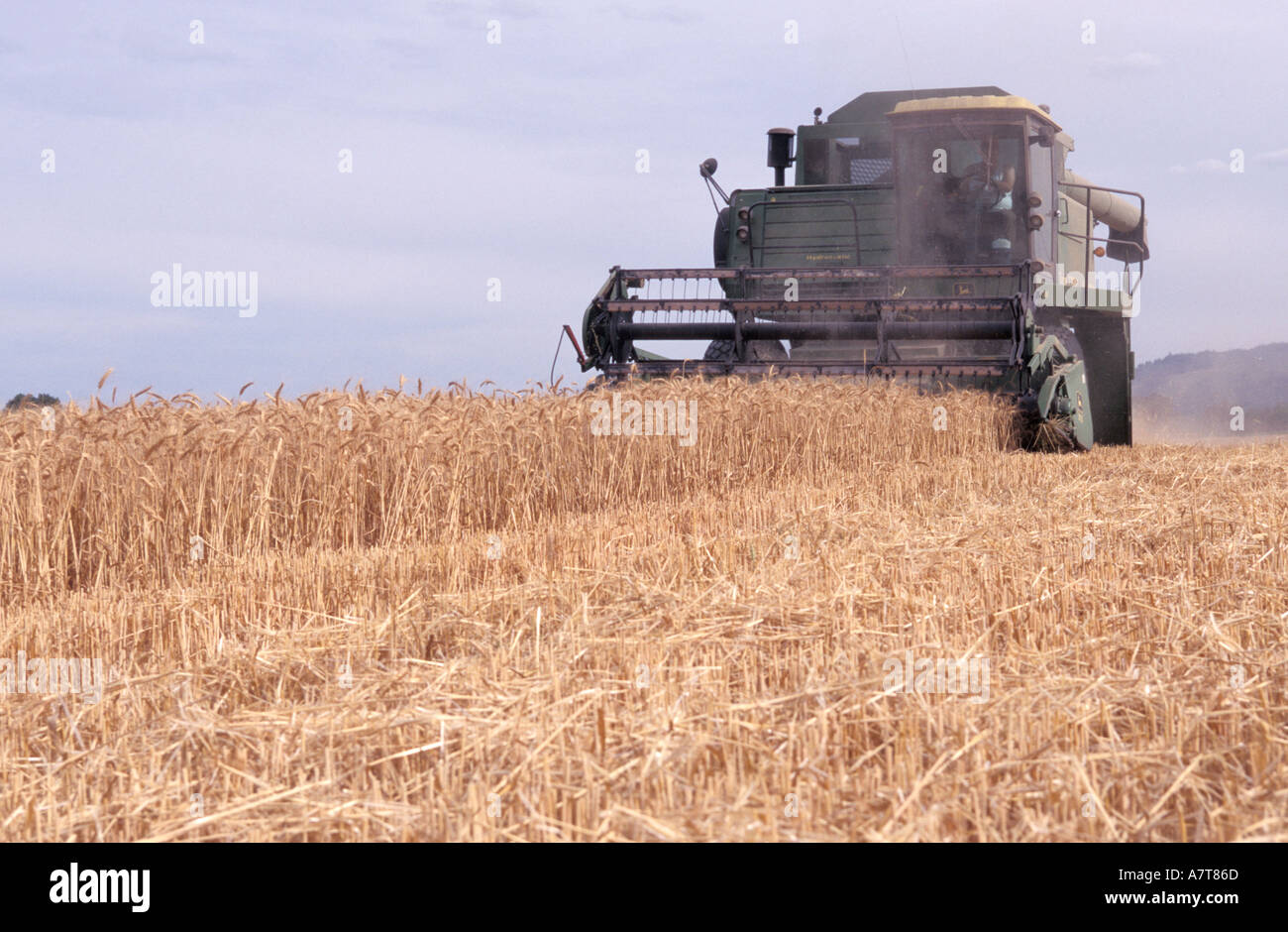 Machine Harvesting Wheat Stock Photo - Alamy