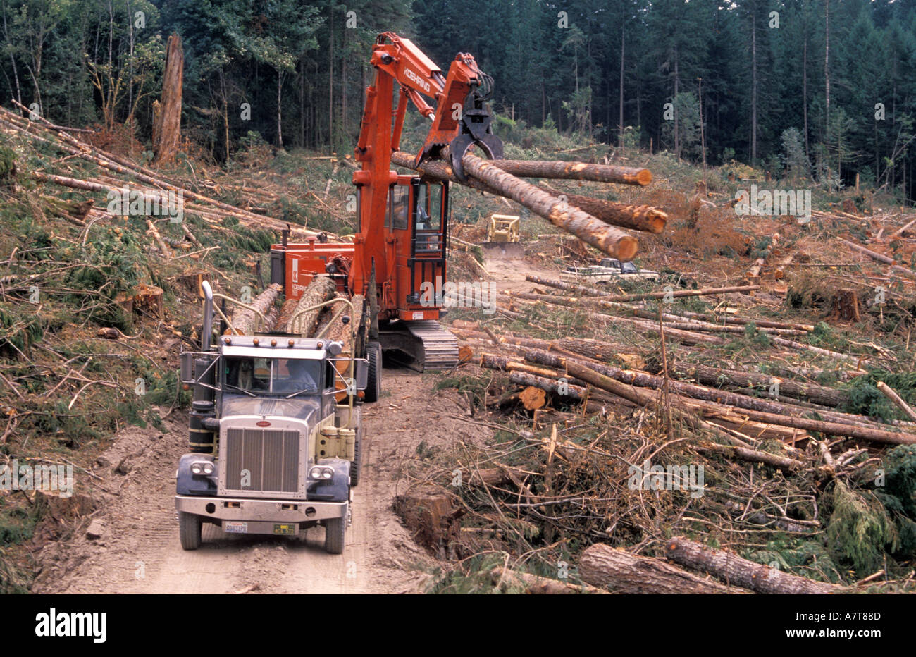 Logging Machinery And Cut Logs Stock Photo - Alamy
