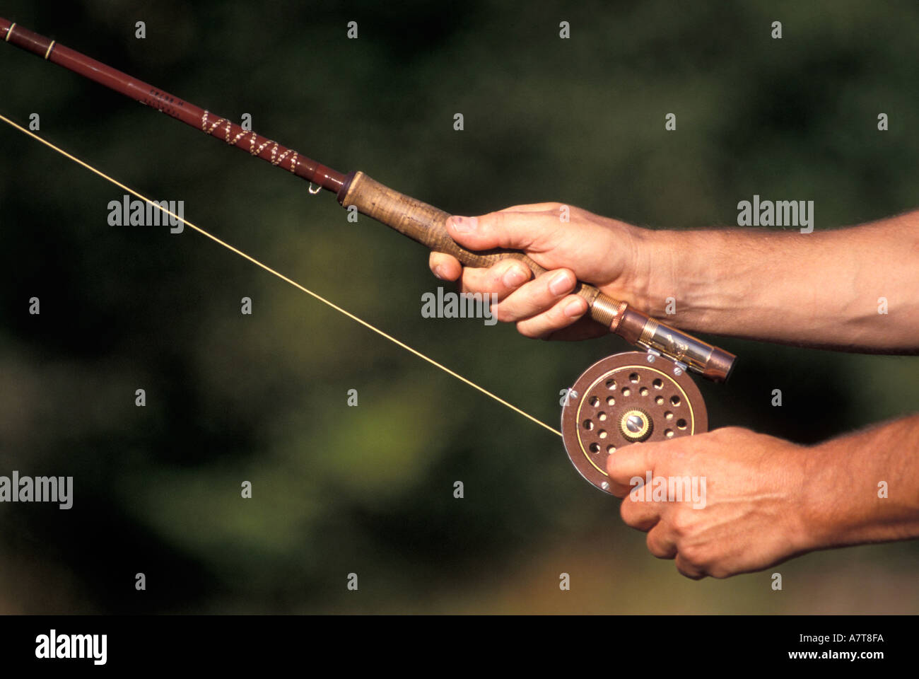 Hands Holding a Fishing Rod Stock Photo - Alamy