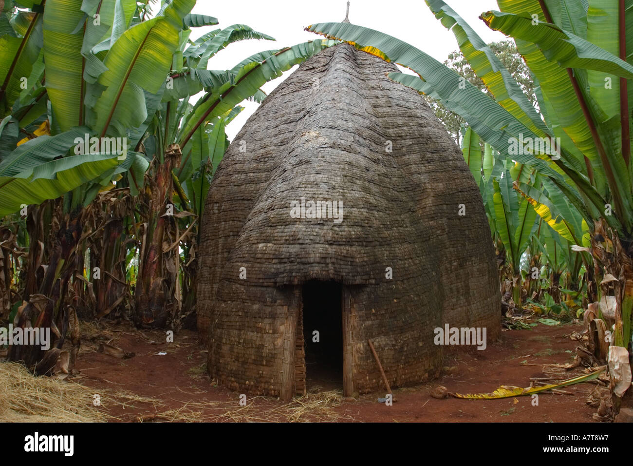Traditional Dorze Huts, Ethiopia, Africa Stock Photo - Alamy