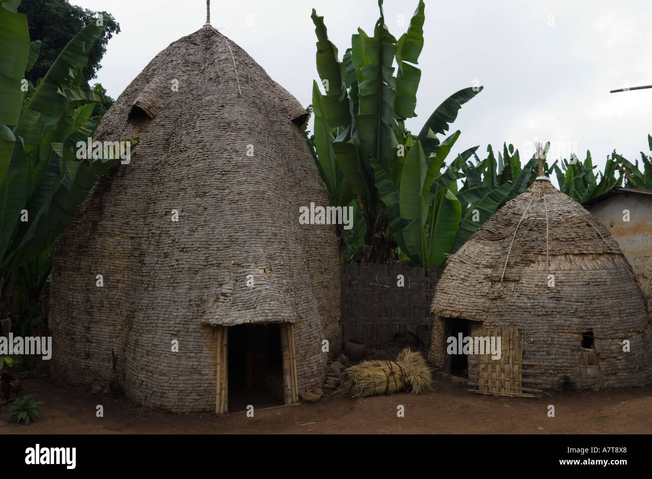 Traditional Dorze Huts, Ethiopia, Africa Stock Photo - Alamy