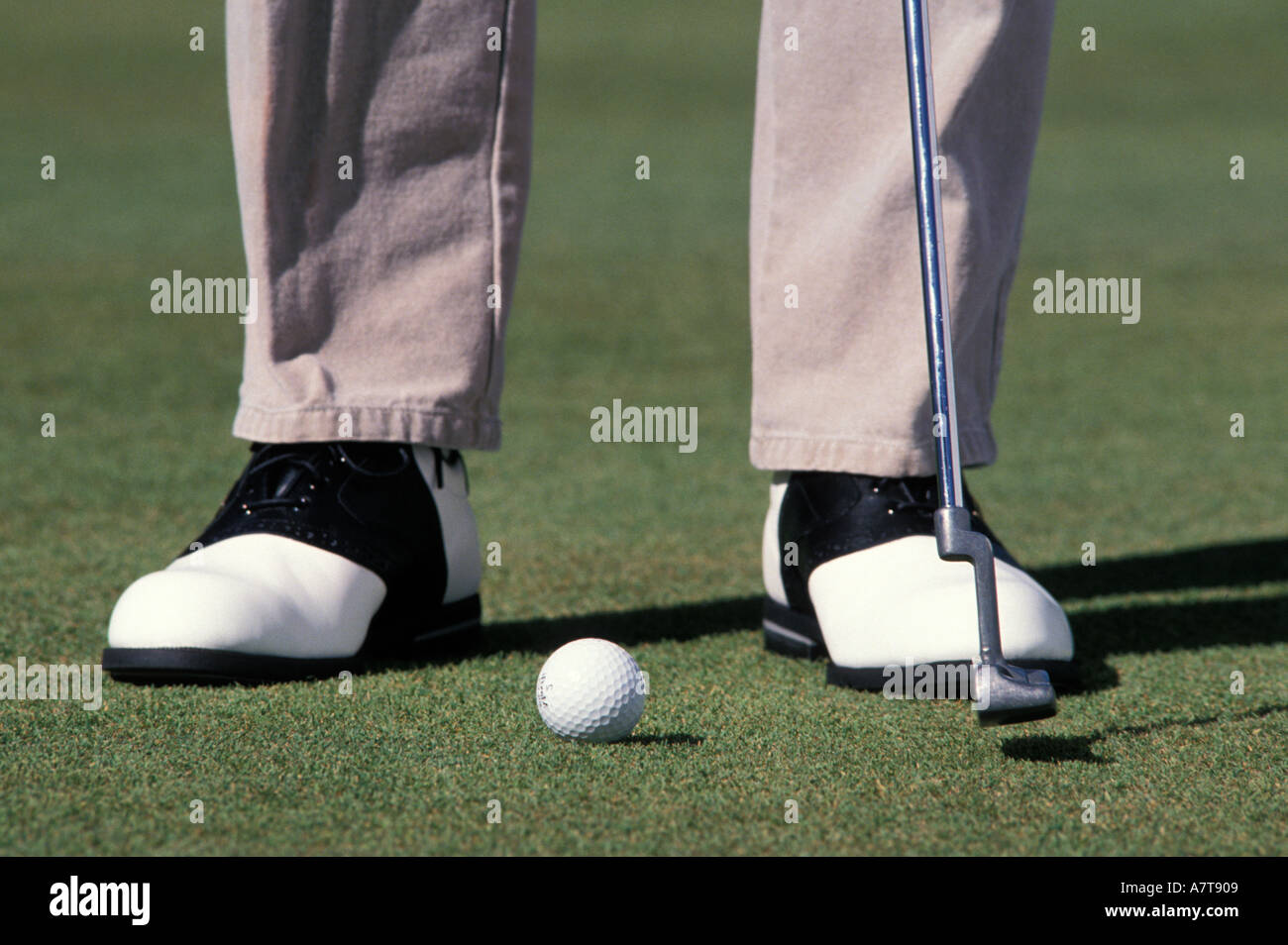 Putting on a Golf Green Stock Photo - Alamy