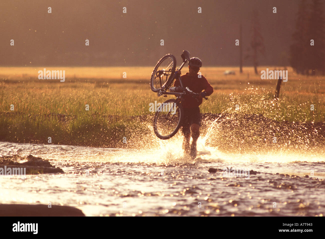 Carrying a Bike Across a Stream Stock Photo - Alamy