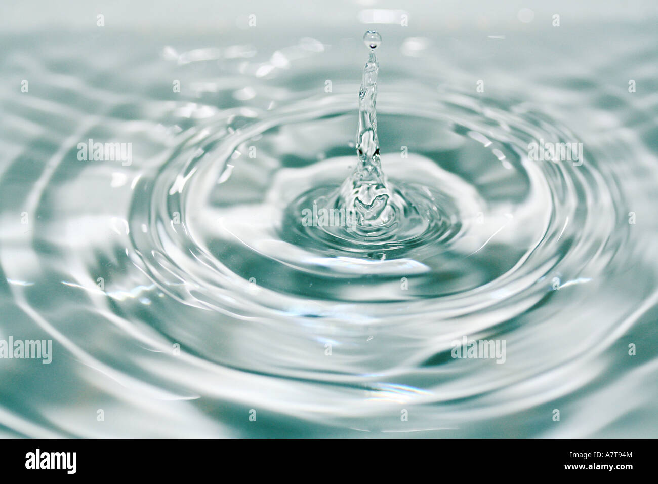 Close-up of water droplets creating ripples on water surface Stock Photo - Alamy