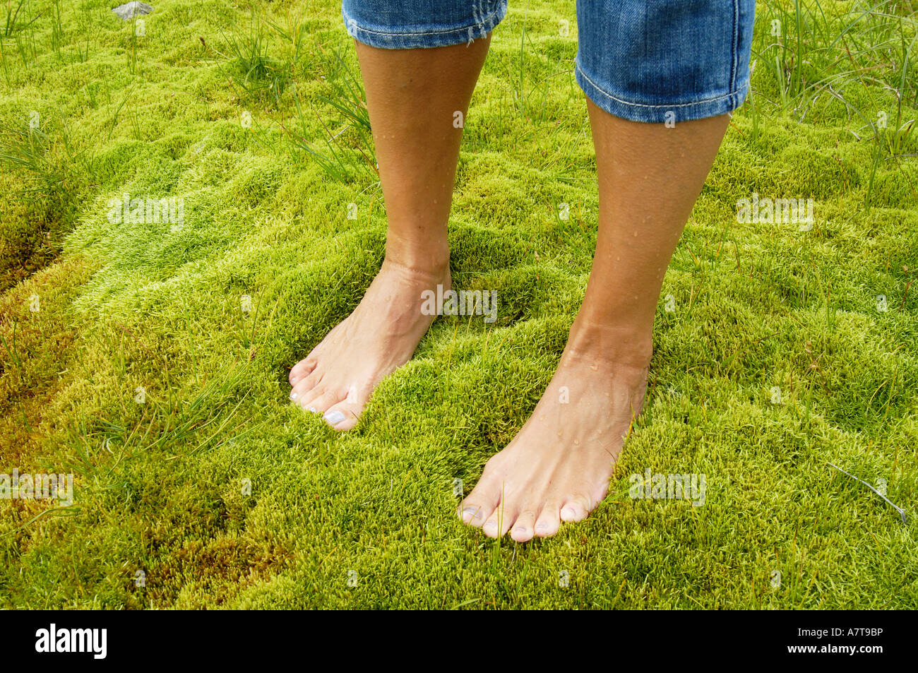 Low section view of woman standing on grass Stock Photo - Alamy