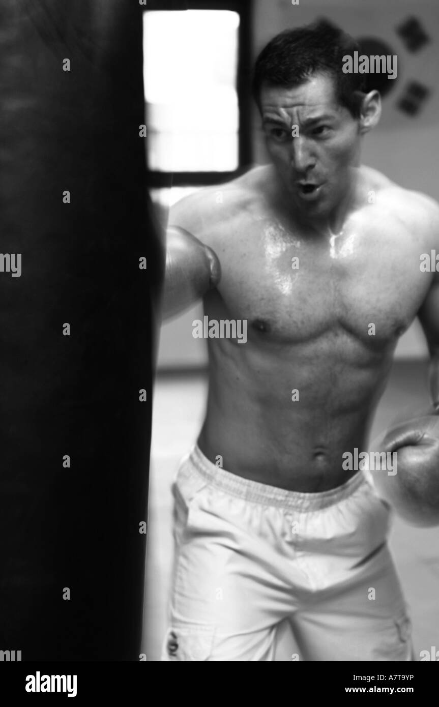 Male boxer practising with a punching bag Stock Photo - Alamy