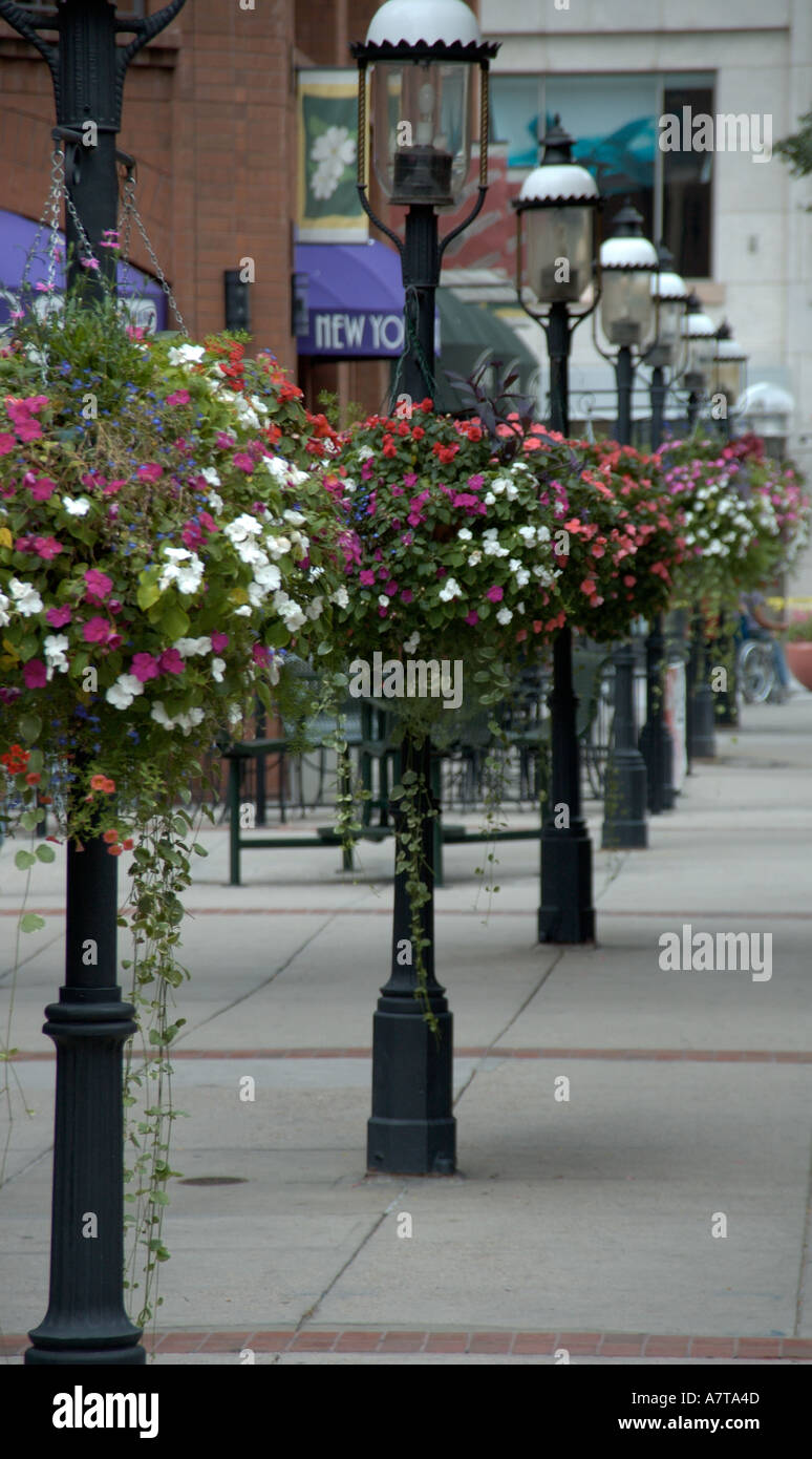 Writer square denver hi-res stock photography and images - Alamy