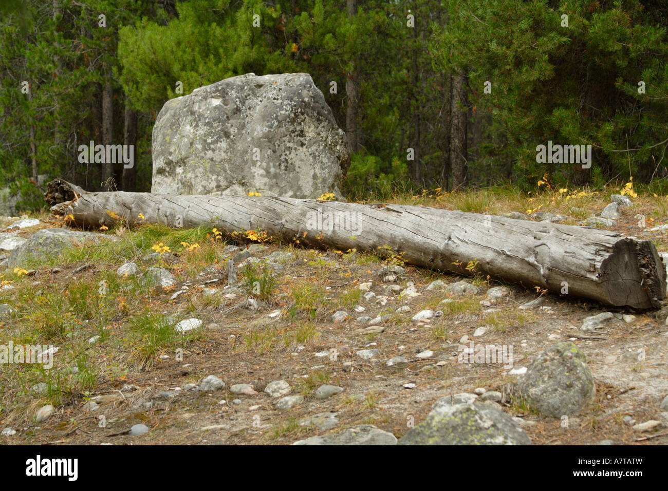Wood and rock Stock Photo - Alamy