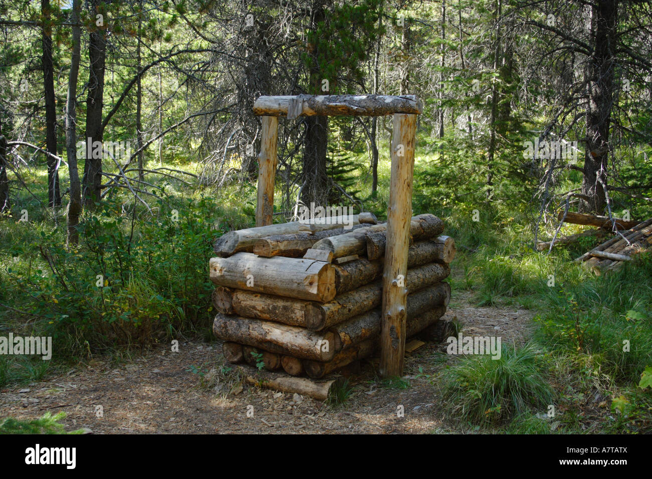 Log trap hi-res stock photography and images - Alamy