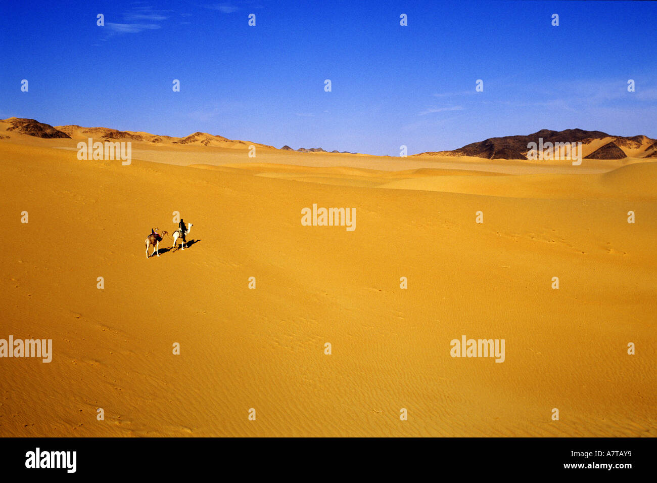 Niger, Sahara, Tenere desert Stock Photo - Alamy