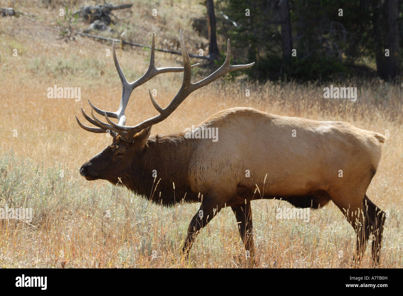 Giant open spaces hi-res stock photography and images - Alamy