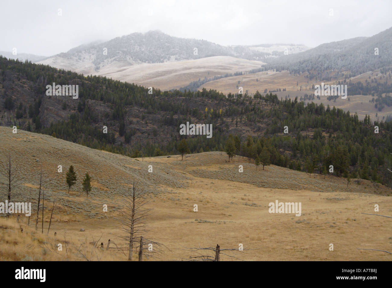 Hidden valley, Yellowstone Stock Photo - Alamy