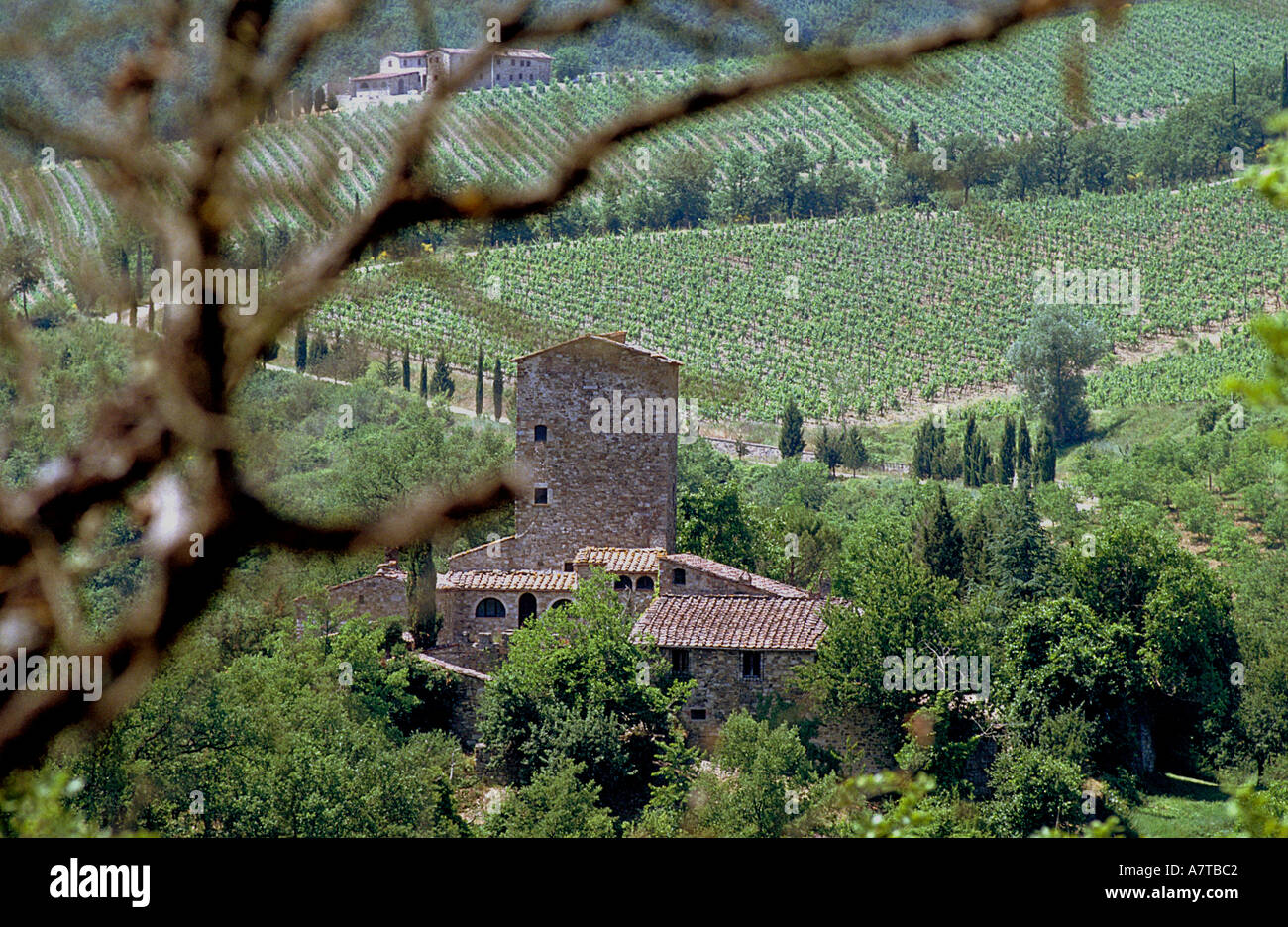 Farm in Chianti Stock Photo - Alamy