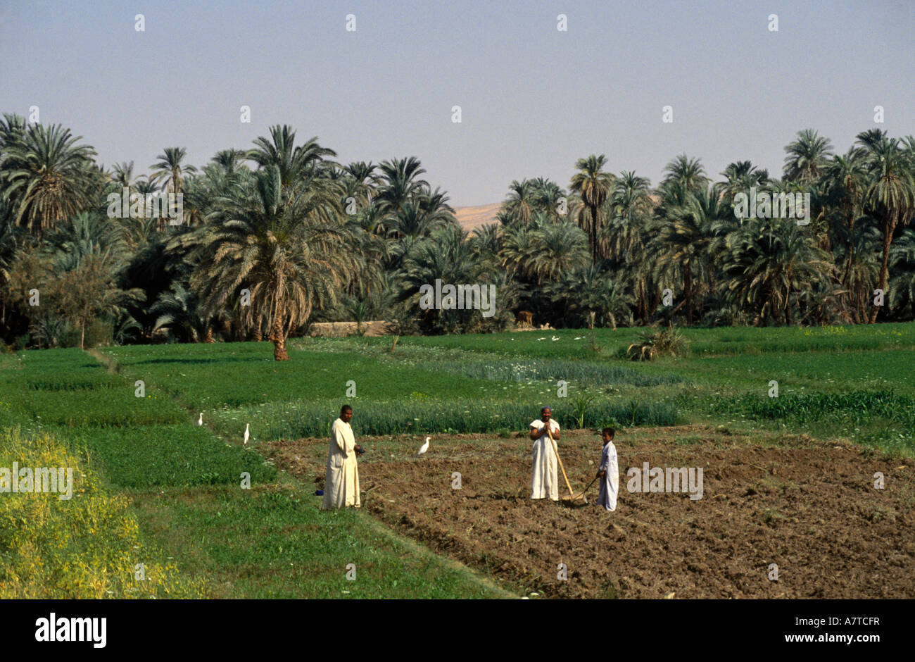 Working men women countries hi-res stock photography and images - Alamy