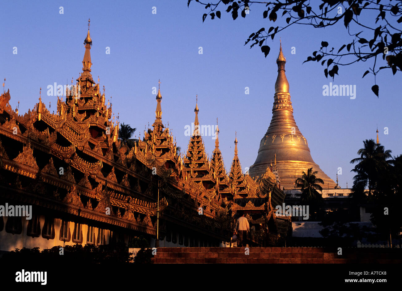 Myanmar (Burma), Yangon Division, Yangon (Rangoon), Shwedagon pagoda ...