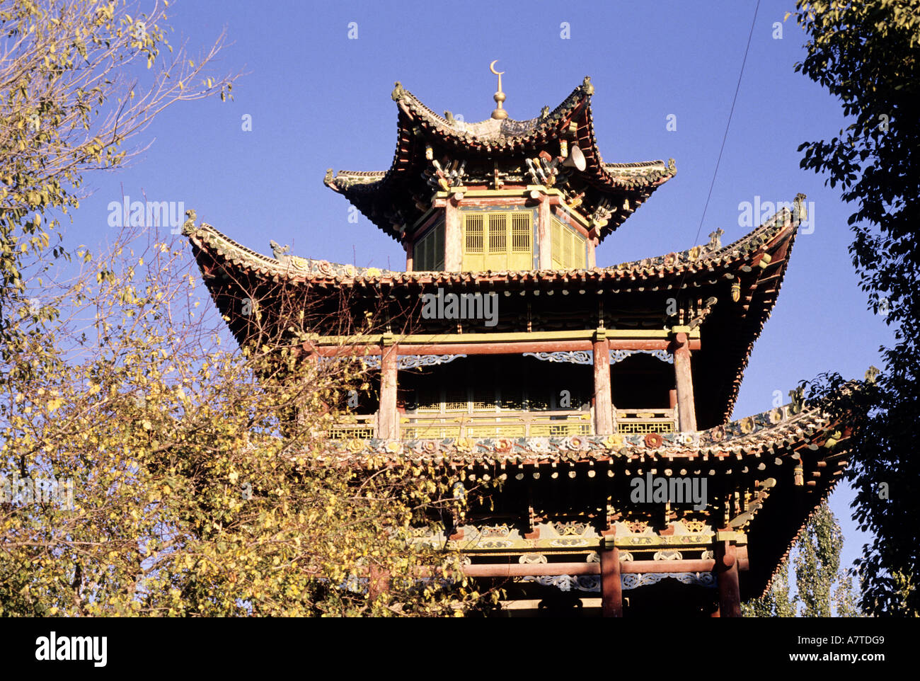 Gulja hi-res stock photography and images - Alamy