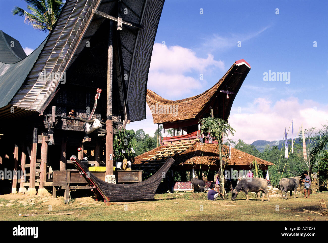 Typical toraja house hi-res stock photography and images - Alamy