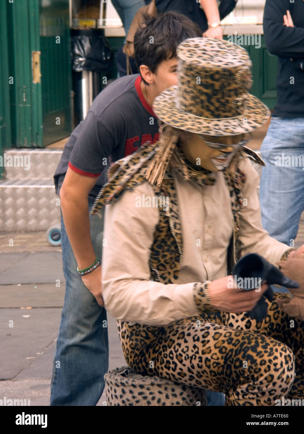 Leopard hiding behind hi-res stock photography and images - Alamy