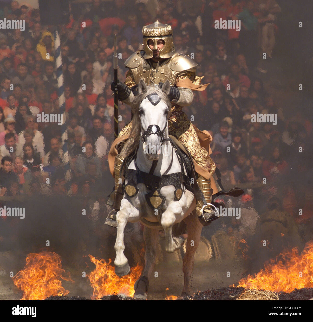 Knights Take Part High Resolution Stock Photography and Images - Alamy