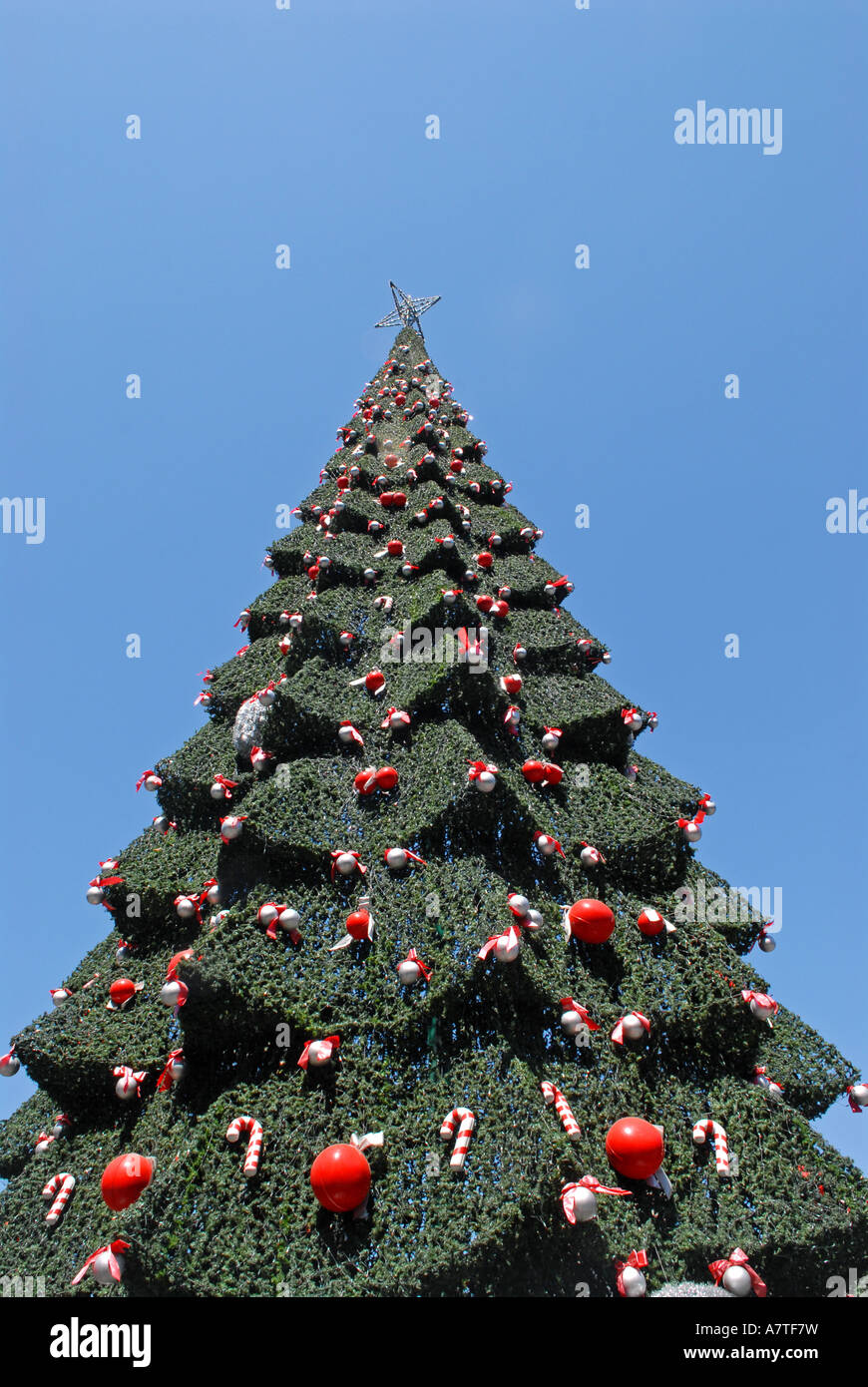 Christmas tree Santiago De Chile Plaza de Armas Stock Photo - Alamy