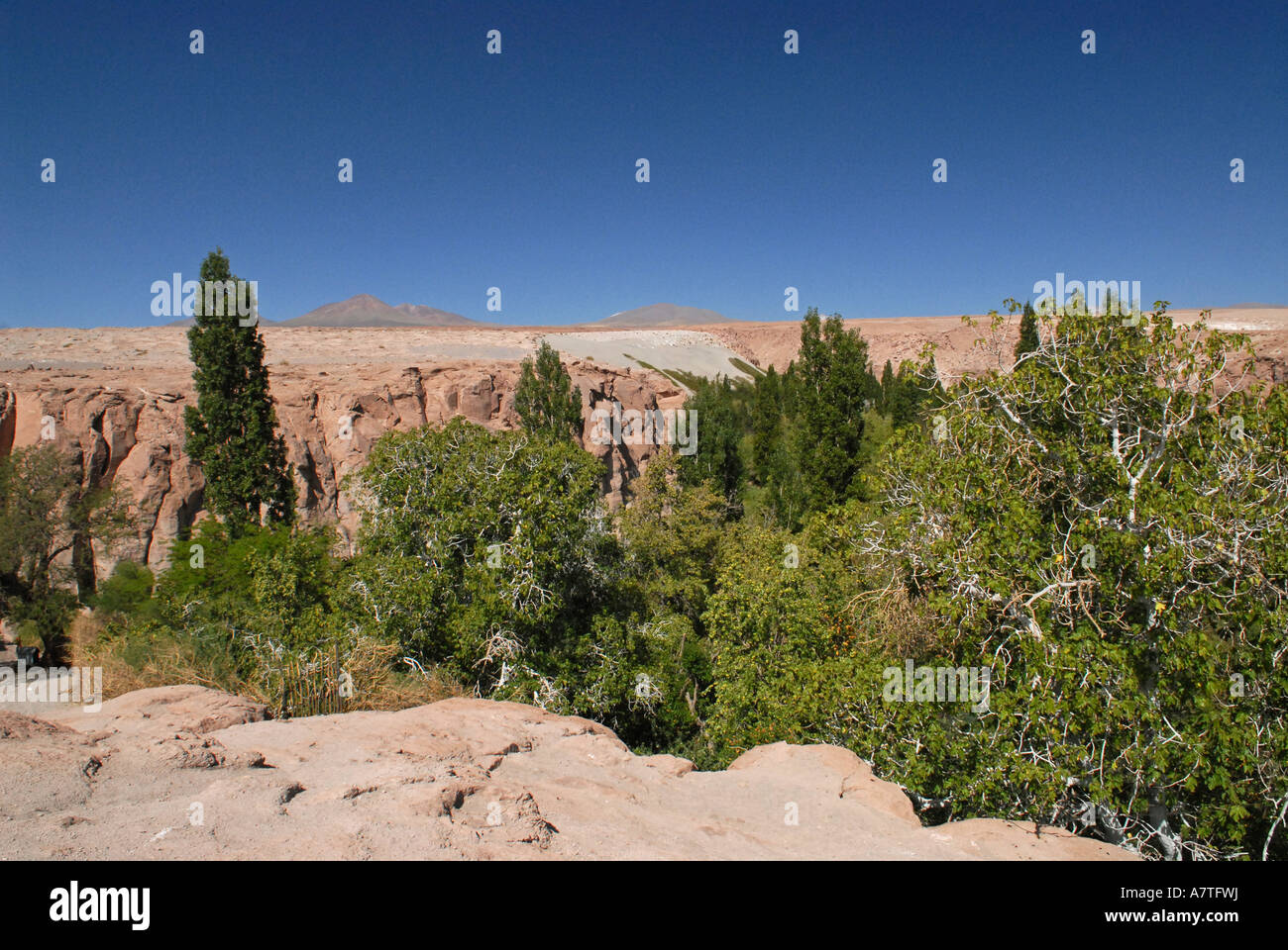 Canyon located in the Toconao oasis in the Atacama desert chile Stock ...
