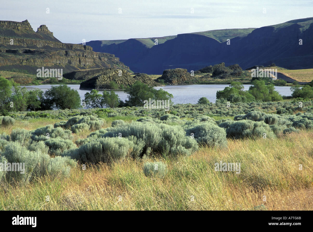 NA, USA, Washington, Coulee City. Alkali Lake in the Lower Grand Coulee ...