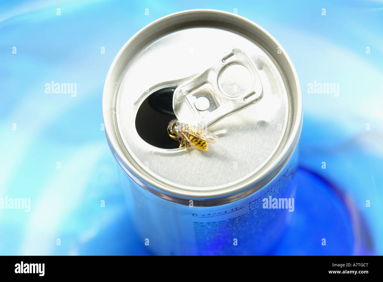 Bee can hi-res stock photography and images - Alamy