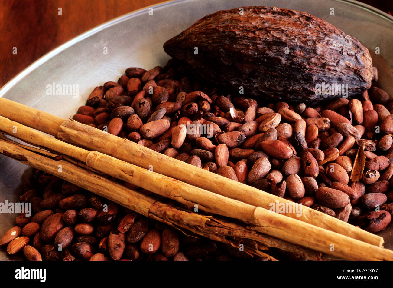 Mexico, Oaxaca State, cacao beans and cinnamon Stock Photo - Alamy