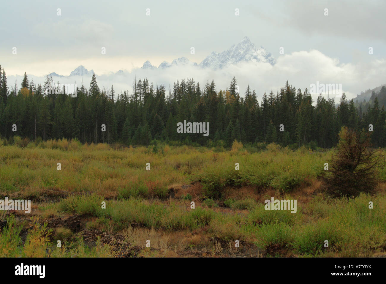 Cold front moving in Stock Photo - Alamy