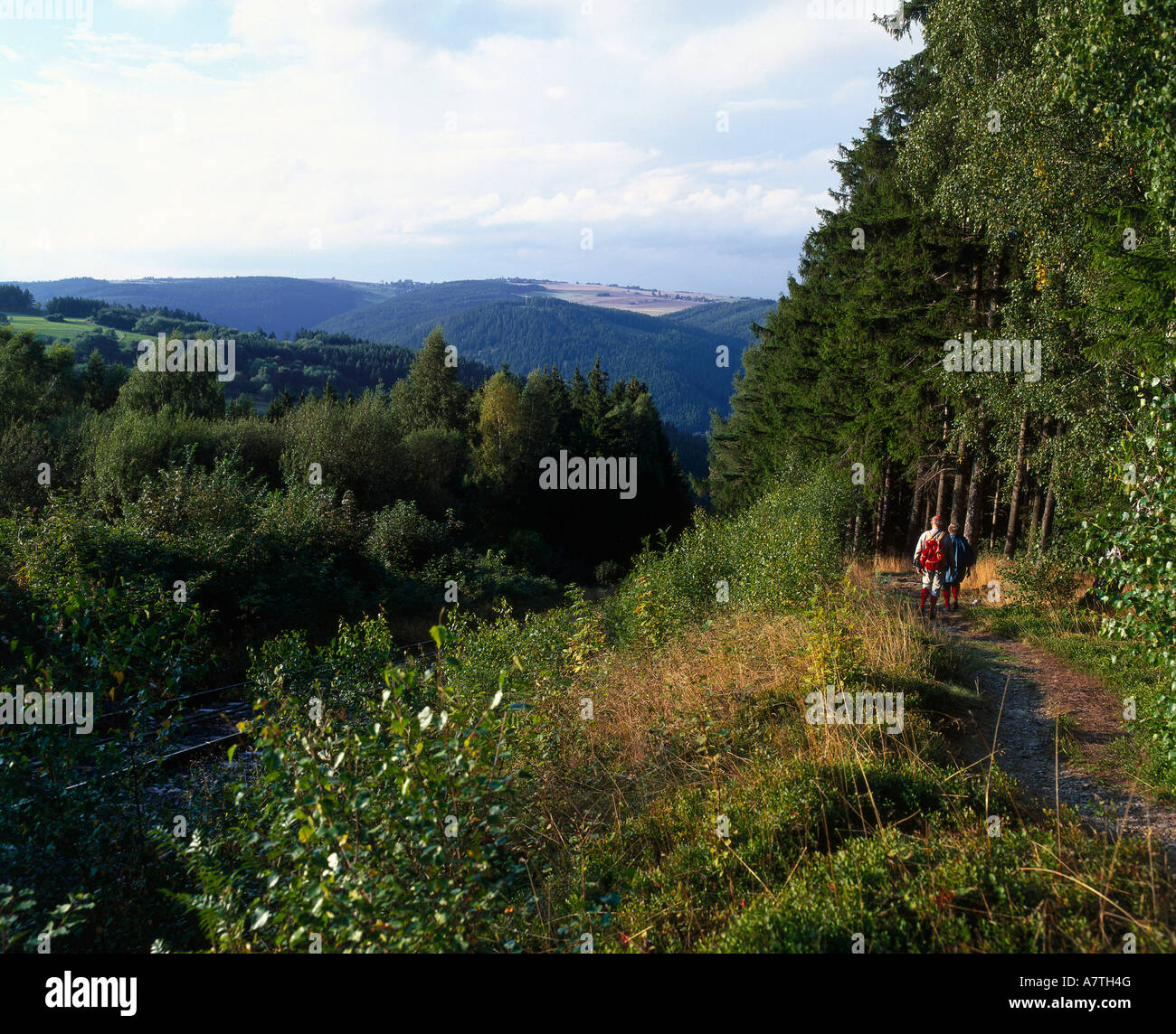 Two hikers walking on forest trail Germany Stock Photo - Alamy