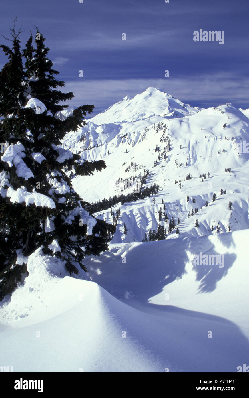 North America, USA, Washington, Heather Meadows Recreation Area. Mt ...