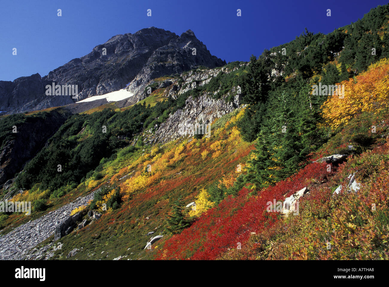 North America, USA, Washington, North Cascades National Park. Autumn at ...